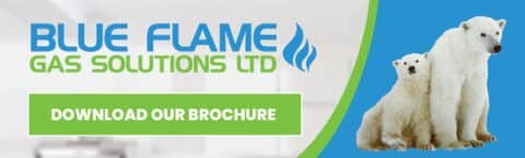 Blue Flame Gas Solutions | Boiler Specialist in Cardiff South Wales
